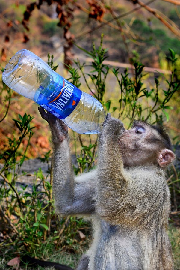 Amazing Drink editorial stock photo. Image of water, greedy - 39395738