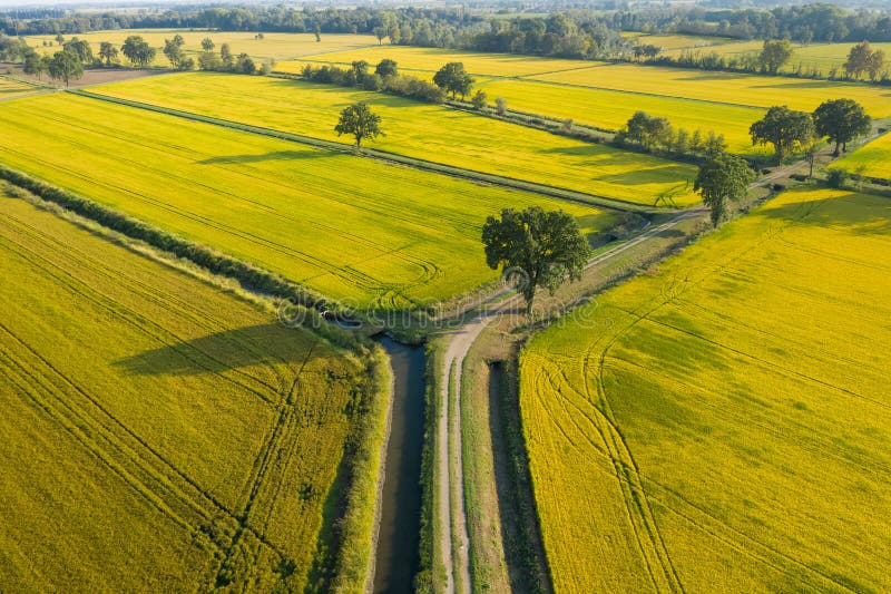 Amazing Drone View of Rice Fields Stock Image - Image of nature, aerial ...
