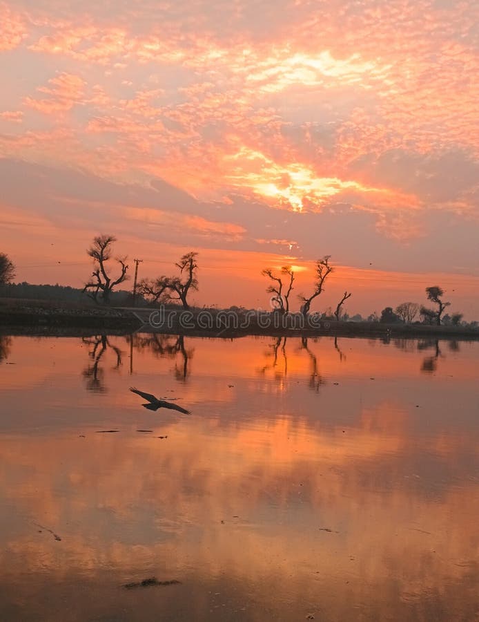 Amazing Evening Scene of Sun Sets Stock Image - Image of amazing, sets ...