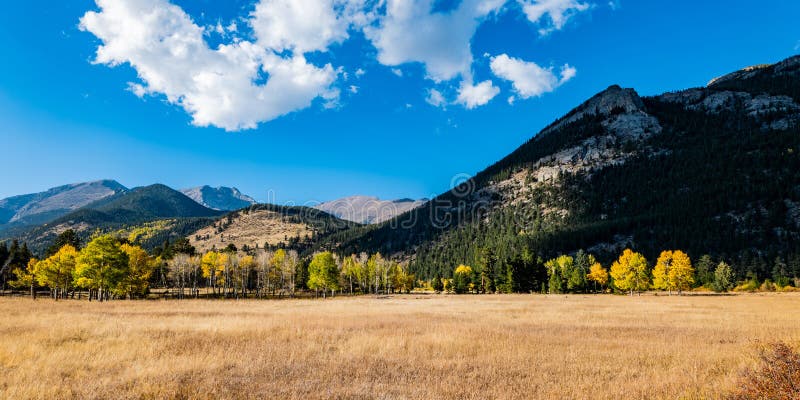 Amazing Fall Color Aspen Colorado Stock Photo - Image of tree, hill ...
