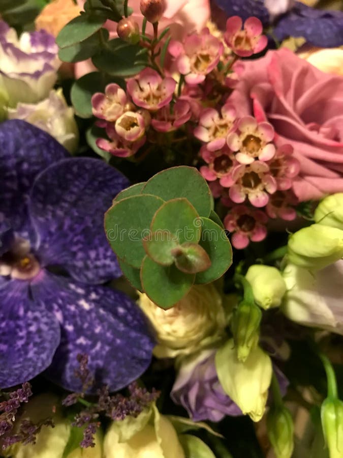 Amazing Flower Bouquet Close Up Stock Photo - Image of colors, green ...