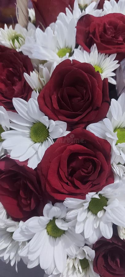 Amazing flowers stock photo. Image of bouquet, flowers - 262723970