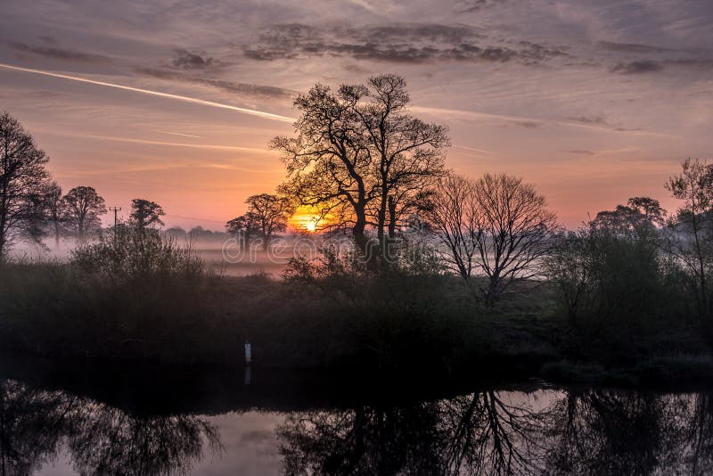 Amazing Forest and the Sunset Stock Photo - Image of beauty, meadow ...