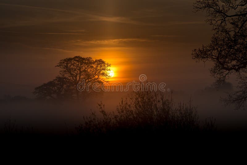 Amazing Forest and the Sunset Stock Photo - Image of autumn, rural ...