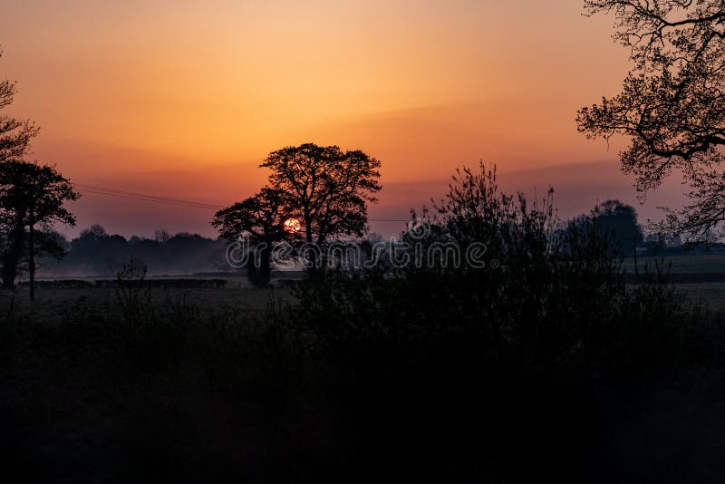 Amazing Forest and the Sunset Stock Photo - Image of evening, rural ...