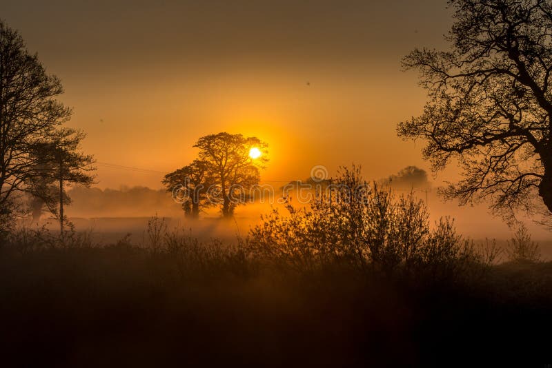 Amazing Forest and the Sunset Stock Photo - Image of hill, outdoor ...