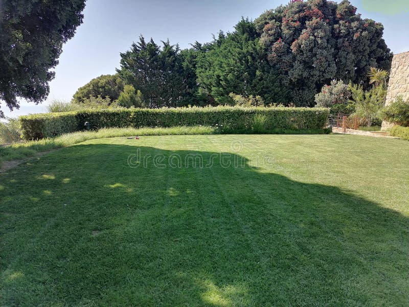 Amazing Garden Grass Edge Country Stock Image - Image of tree, backyard ...