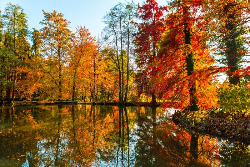 Amazing Golden Autumn Colors in the Forest Path Track. Autumn ...