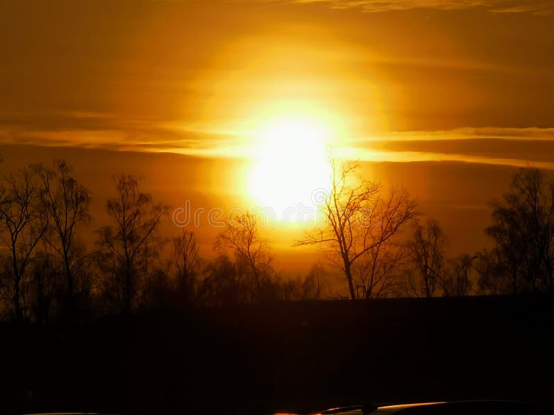 Amazing Golden Sunset, Trees Like on Fire, Dolgoprudniy, Moscow, Russia ...
