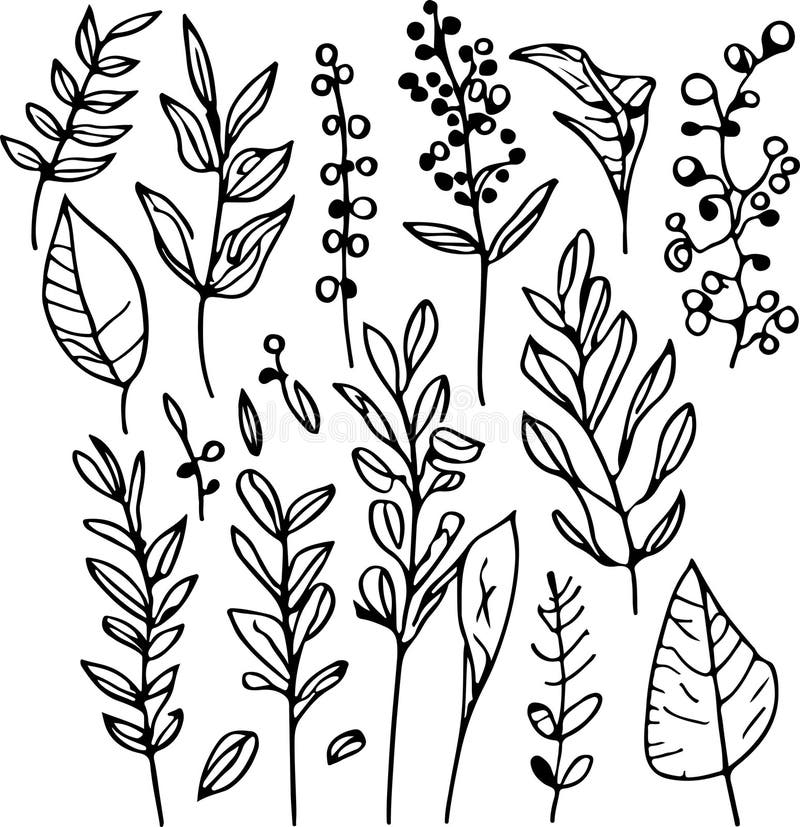 Amazing Hand Drawn Line Forest Flora Vector Stock Vector - Illustration ...