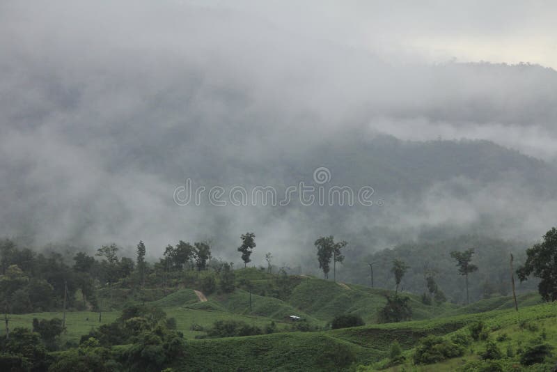 Amazing hill stock image. Image of morning, amazingnature - 49042289
