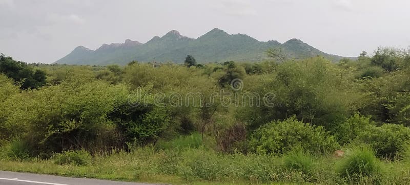 Amazing Hills Beautiful Landscapes Grass Stock Image - Image of hills ...
