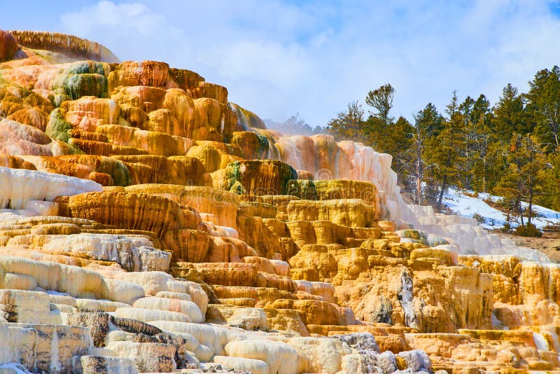 Amazing Hot Spring Terraces at Yellowstone S Devils Thumb Stock Photo ...