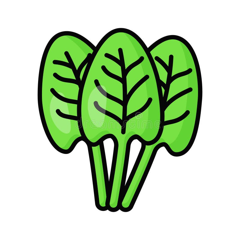 An Amazing Icon of Sorrel, Bunch of Sorrel Leaves, Trendy Vector Stock ...