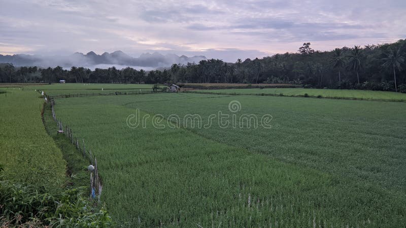 Amazing Land in Sumatera stock image. Image of meadow - 268638103