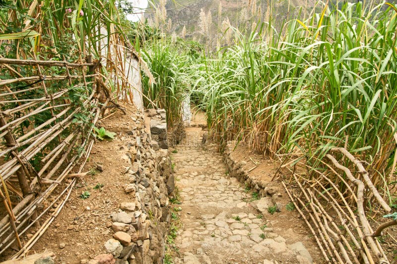 Landscape of Brava Island in the Archipelago of Cabo Verde Stock Image ...