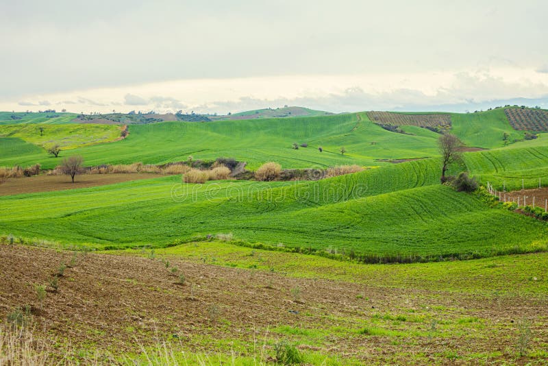 Amazing Landscape with Green Rolling Hills in Spring Stock Image ...