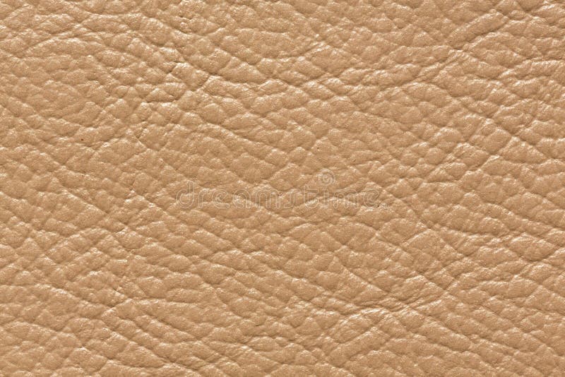 Amazing Light Leather Texture with Relief Surface. Stock Image - Image ...