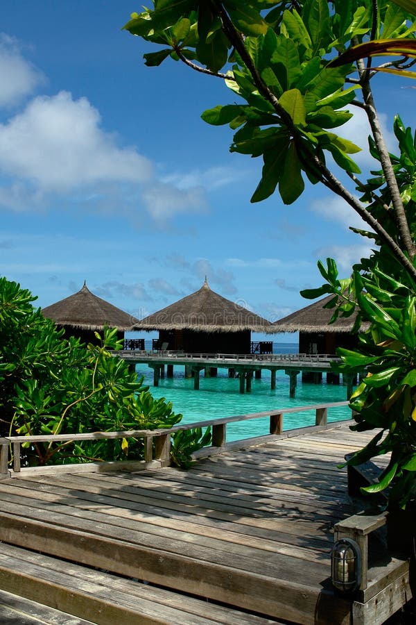 Maldives island stock photo. Image of green, coco, house - 19419532