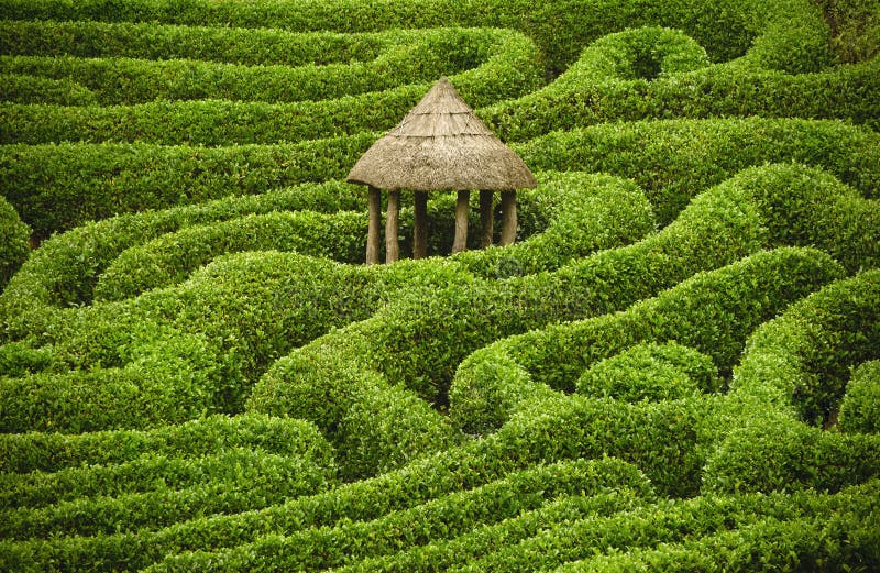 Amazing maze stock image. Image of plant, explore, bush - 23260393