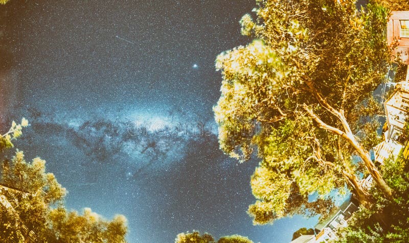 Amazing Milky Way Above Pine Trees, Australia Stock Image - Image of ...