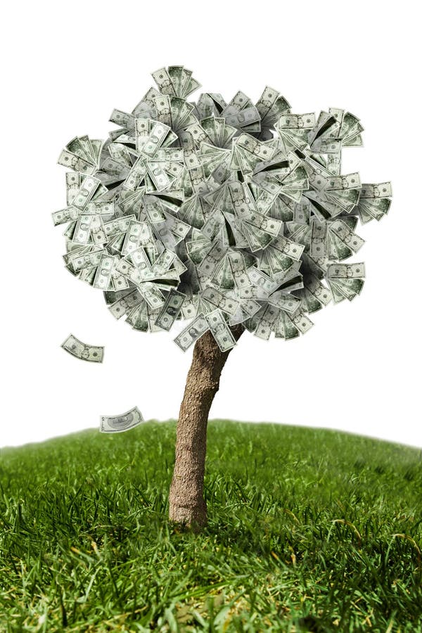 Amazing Money Tree on Grass and White Background Stock Illustration ...