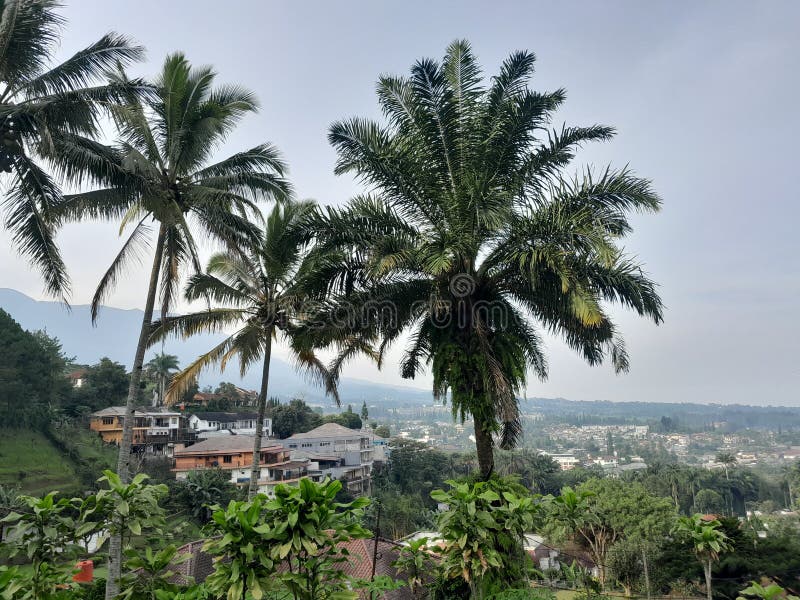 Amazing Morning View in Puncak Bogor Stock Photo - Image of three ...