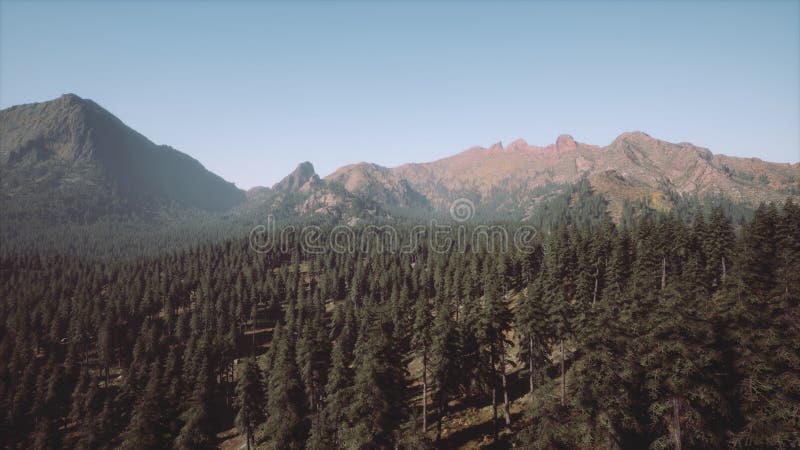 Amazing Mountain Views in Northern Canada in Summer Time Stock Image ...