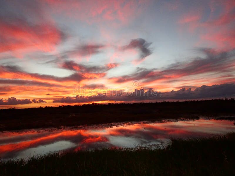 Amazing Multi-colored Sunset in the Swamp Stock Photo - Image of shore ...