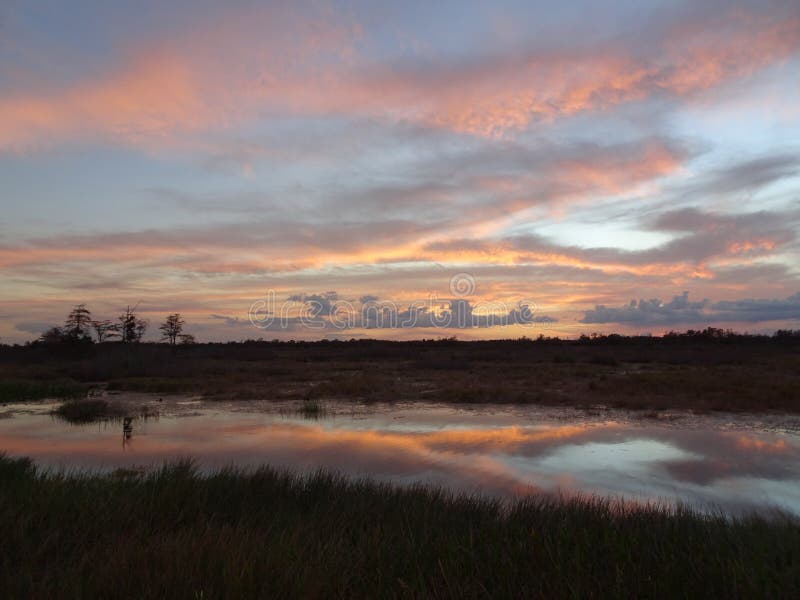 Amazing Multi-colored Sunset in the Swamp Stock Image - Image of reeds ...