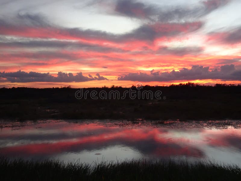 Amazing Multi-colored Sunset in the Swamp Stock Image - Image of heber ...
