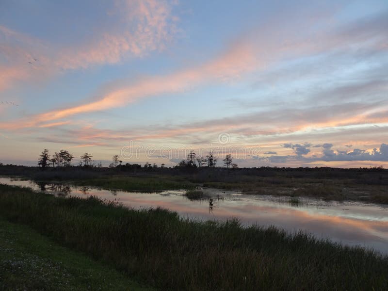 Amazing Multi-colored Sunset in the Swamp Stock Image - Image of nature ...