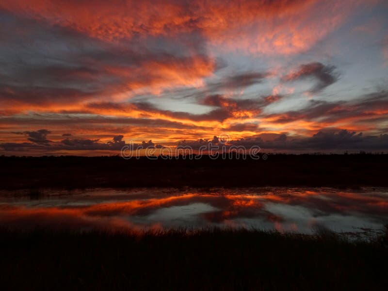 Amazing Multi-colored Sunset in the Swamp Stock Photo - Image of shore ...