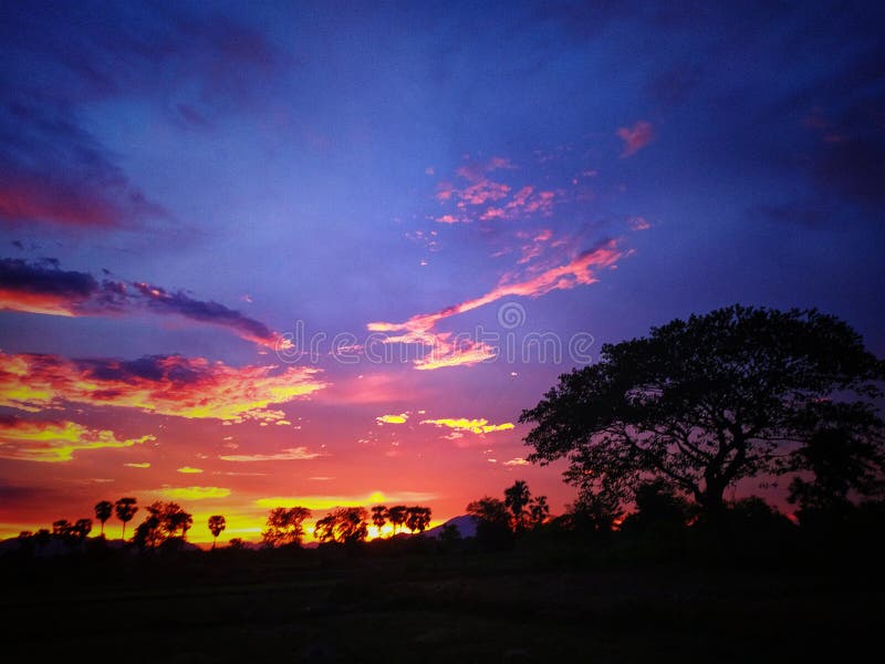 The Amazing Natural View of Village Evening in Summer Evening. Stock ...
