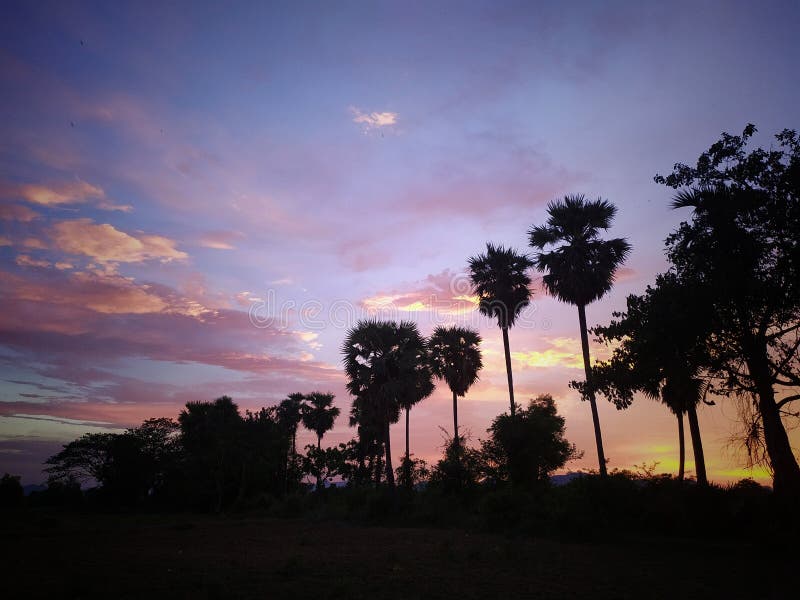 The Amazing Natural View of Village Evening in Summer Session. Stock ...