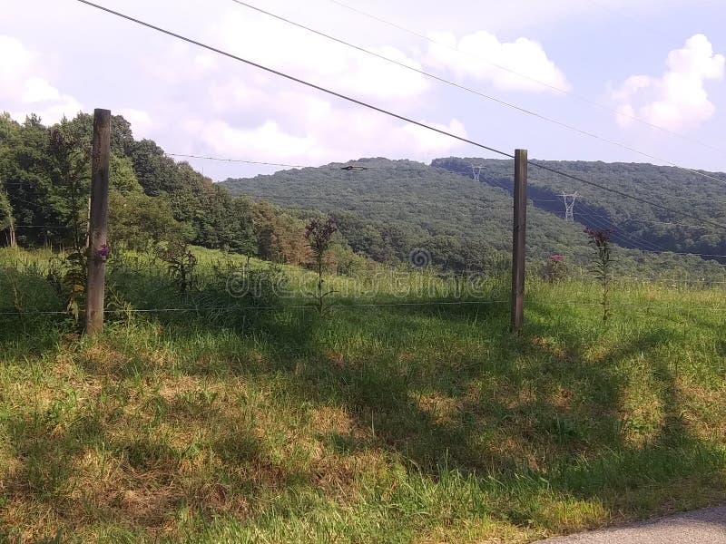 Open stretch stock photo. Image of amazing, open, look - 131278644