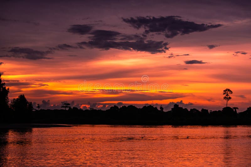 Amazing Panoramic View of Tropical River and Rainforest Stock Image ...