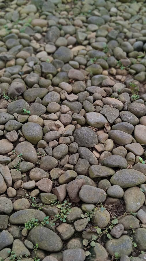 Amazing path of rocks stock image. Image of amazing - 249639827