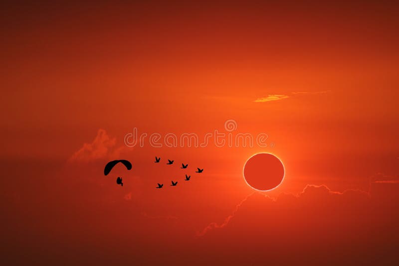 Amazing Phenomenon of Total Sun Eclipse Over Silhouette Birds Flying ...
