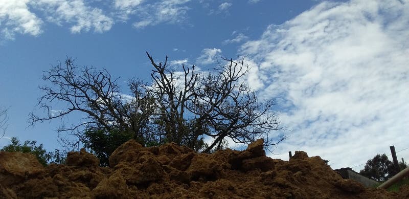 Amazing picture beautiful stock photo. Image of beautiful - 239212196