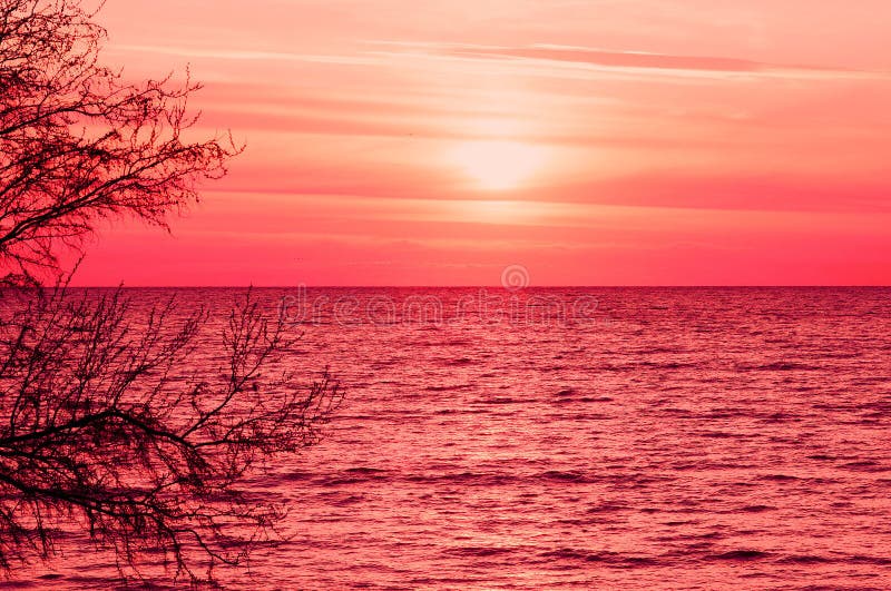Amazing Purple Sunset Over Sea Stock Image - Image of sunset, skyline ...