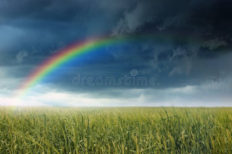 Amazing Rainbow Over Field Under Stormy Sky Stock Image - Image of ...