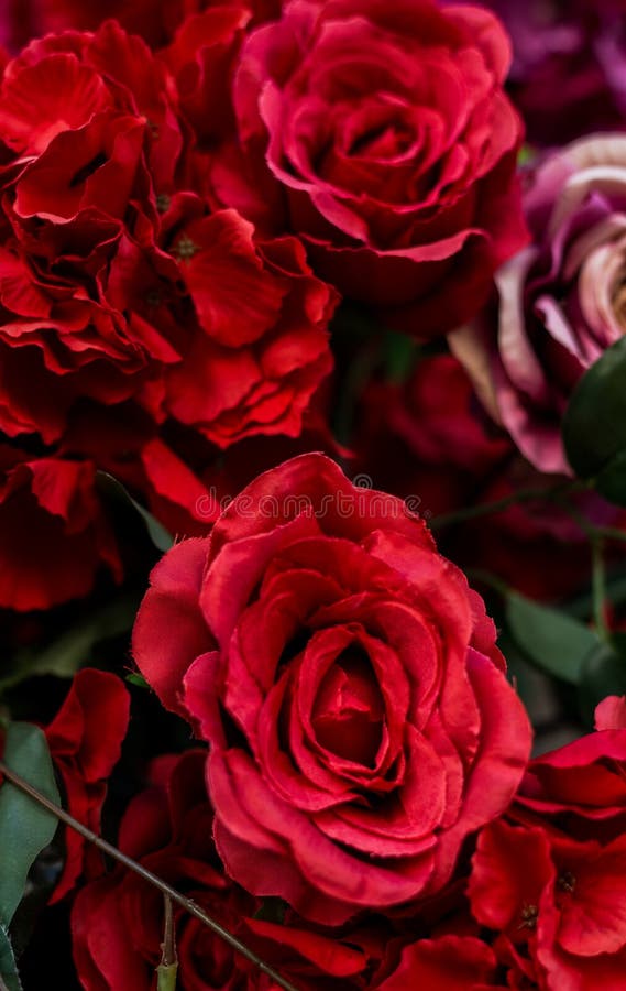 Amazing Red Roses Wall Decoration, Hand Made Closeup Stock Image ...