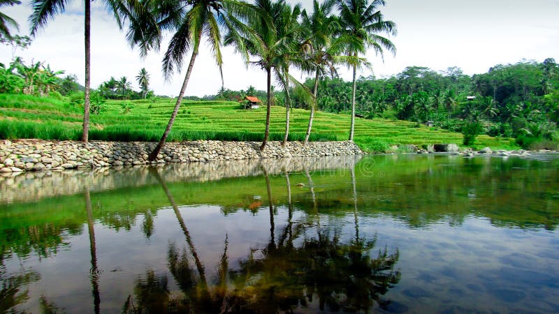 Amazing River in Tasikmalaya, West Java, Indonesia Stock Photo - Image ...