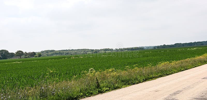 An amazing roadside view stock image. Image of amazing - 192824127