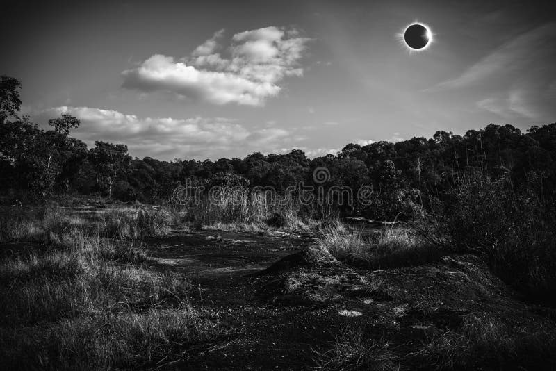 Amazing Scientific Natural Phenomenon Total Solar Eclipse Glowing On Sky Stock Image Image