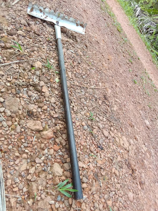 The Amazing Scratch Tool on the Soil Street in the Garden Stock Image ...