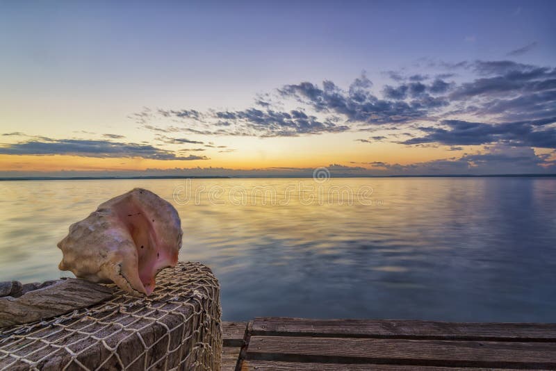 Amazing Seascape with a Seashell Stock Image - Image of landscape ...