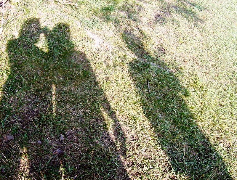 Shadow on the Grass stock photo. Image of nature, shadows - 197106300