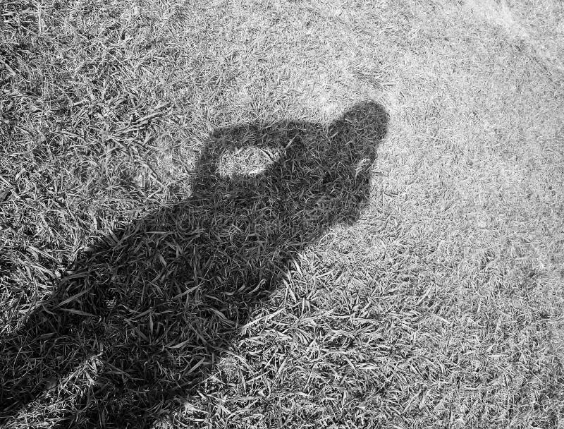 Shadow on the Grass stock photo. Image of shadows, amazing - 197106310